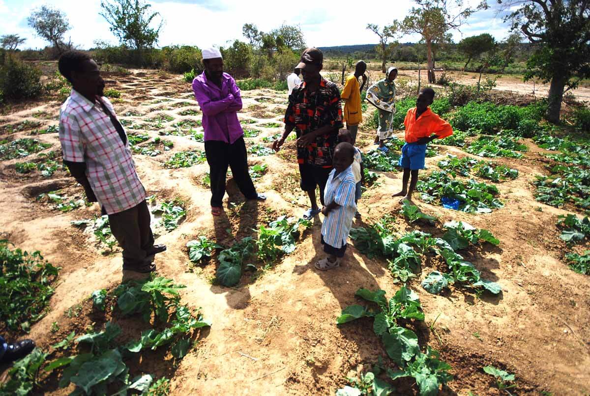 This Magazine → Farming how-tos help Kenyan farmers adapt to climate change