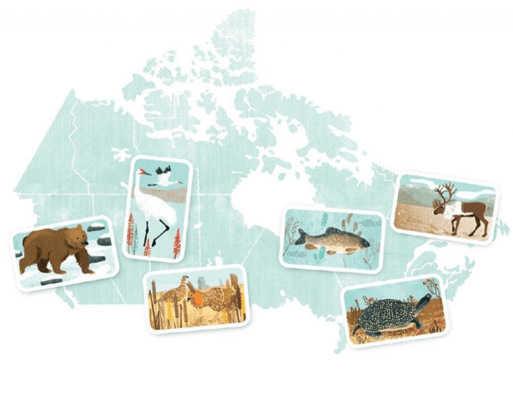 This Magazine → Meet Canada’s most endangered species, from coast to ...